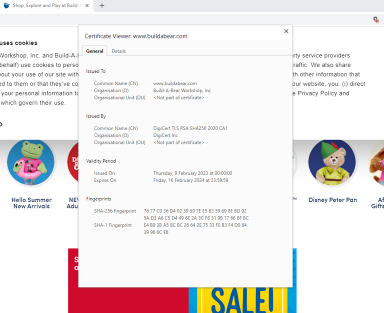 Complete Guide to Choosing SSL Certificates - Pressidium Hosting